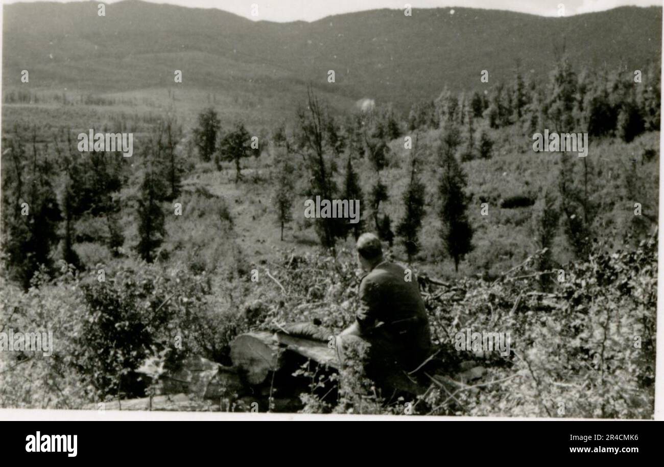 SS Photographer Willi Altstadt, Wiking Division, Russia 1942. Rostov ...