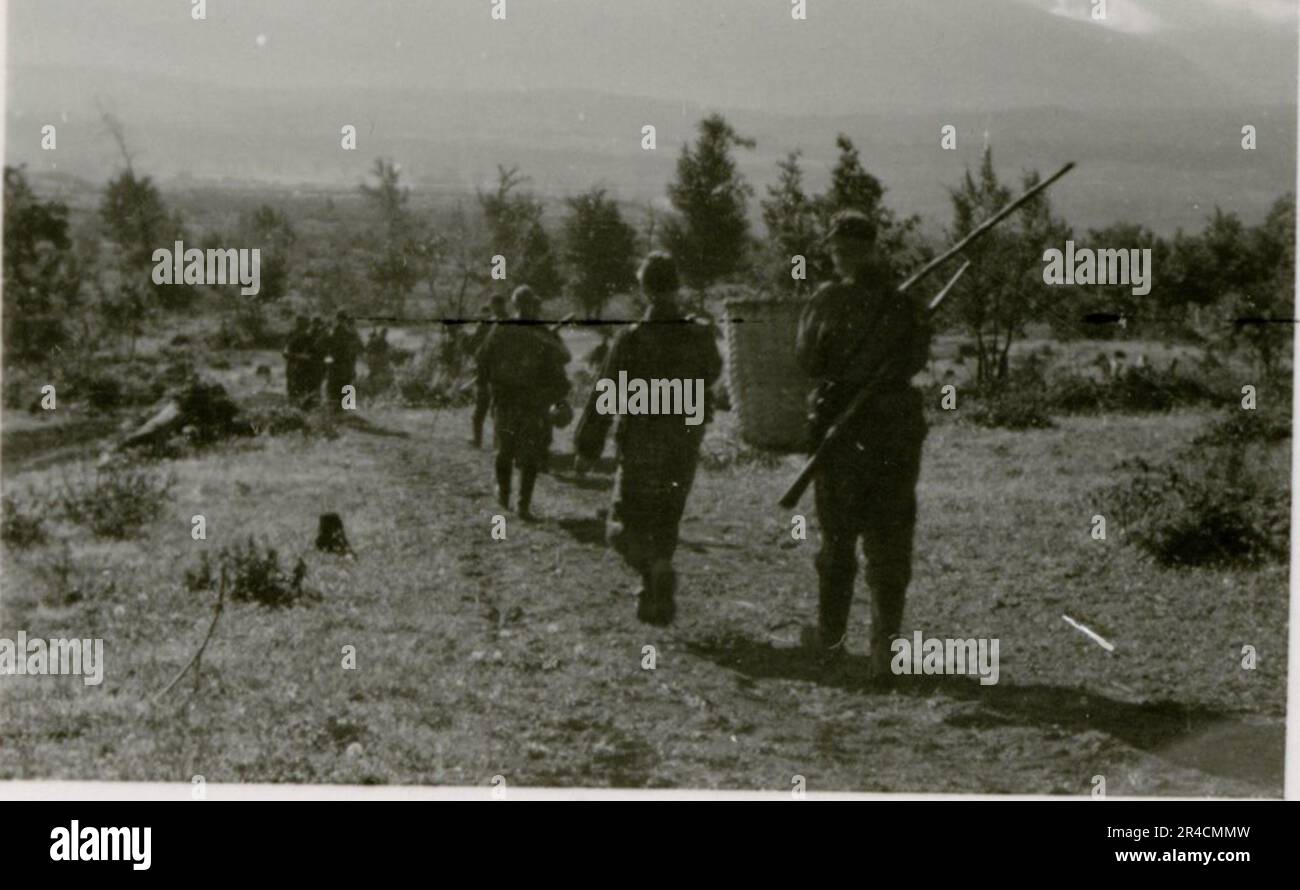 SS Photographer Willi Altstadt, Wiking Division, Russia 1942. Rostov ...