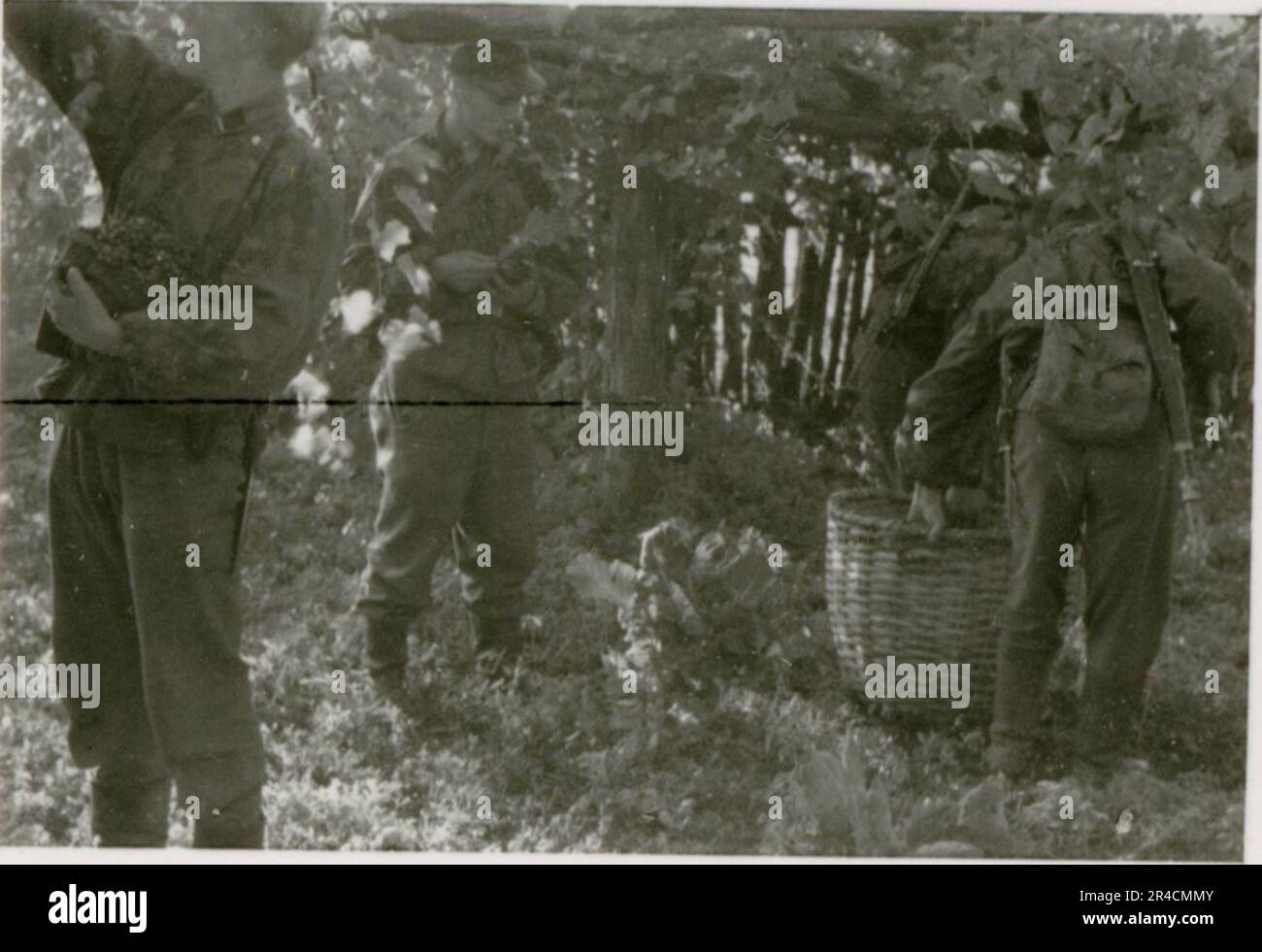 SS Photographer Willi Altstadt, Wiking Division, Russia 1942. Rostov ...