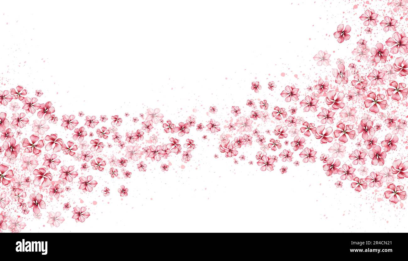 Delicate, pink sakura flowers. Horizontal board, watercolor ...