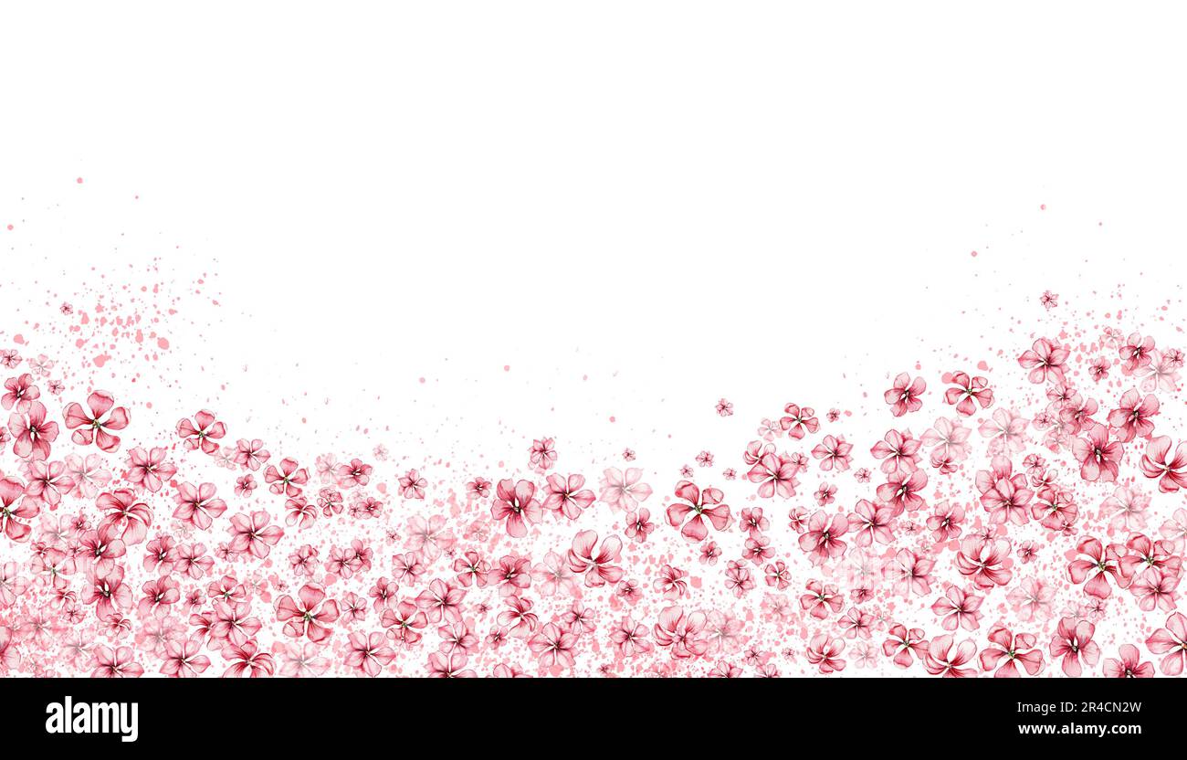 Delicate, pink sakura flowers. Horizontal board, watercolor ...