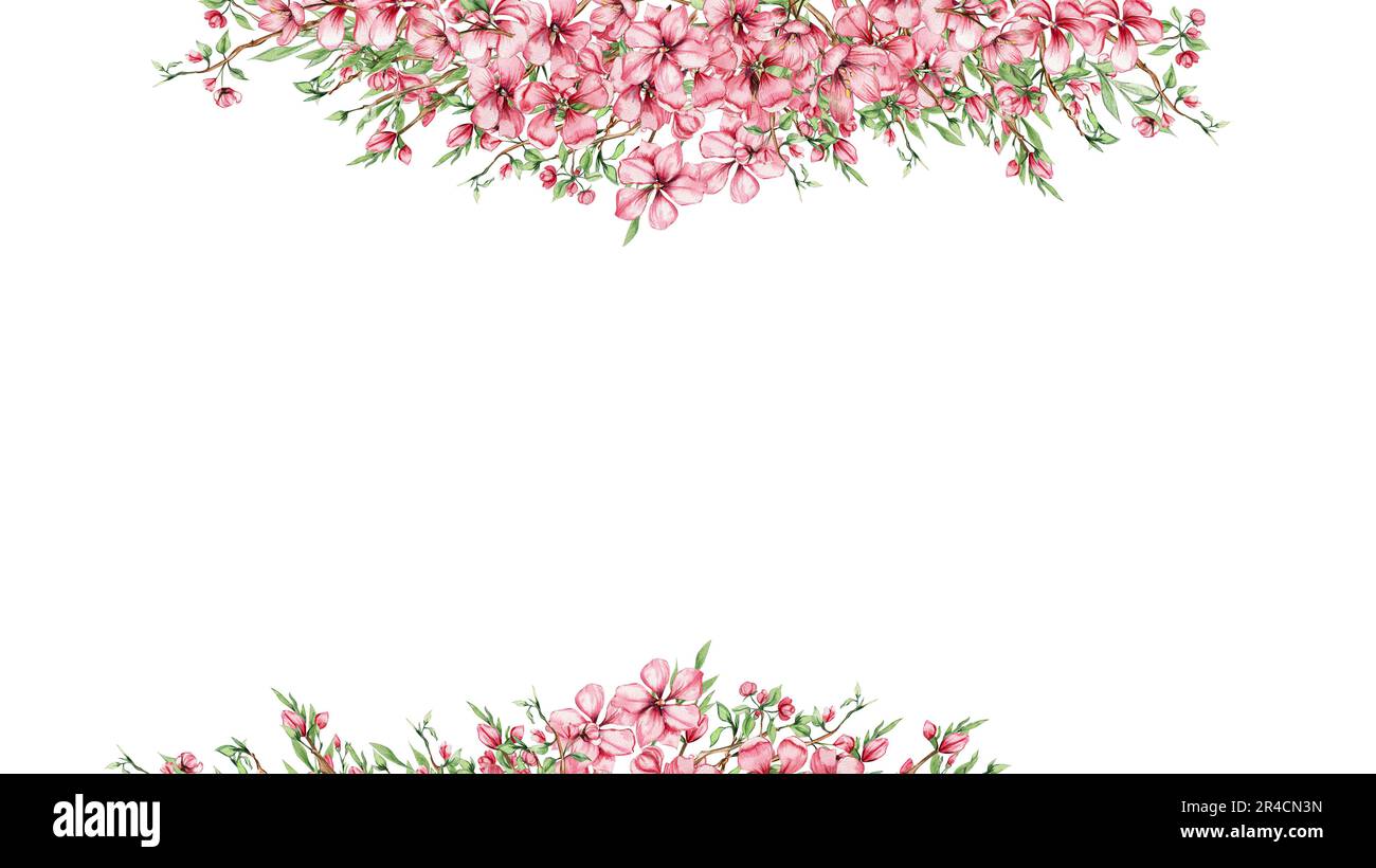 Delicate, pink sakura flowers. Horizontal board, watercolor ...