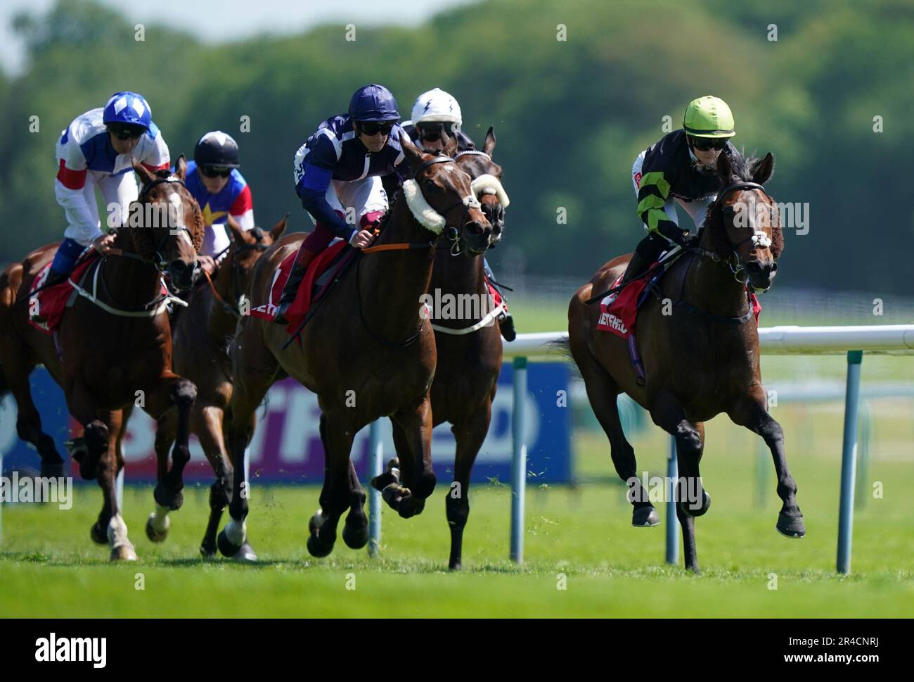Solent Gateway ridden by Hollie Doyle wins the Betfred TV Hell Nook ...