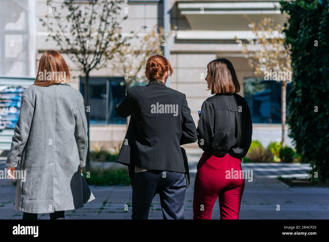 Back view shot of three business girls walking in the city and talking ...