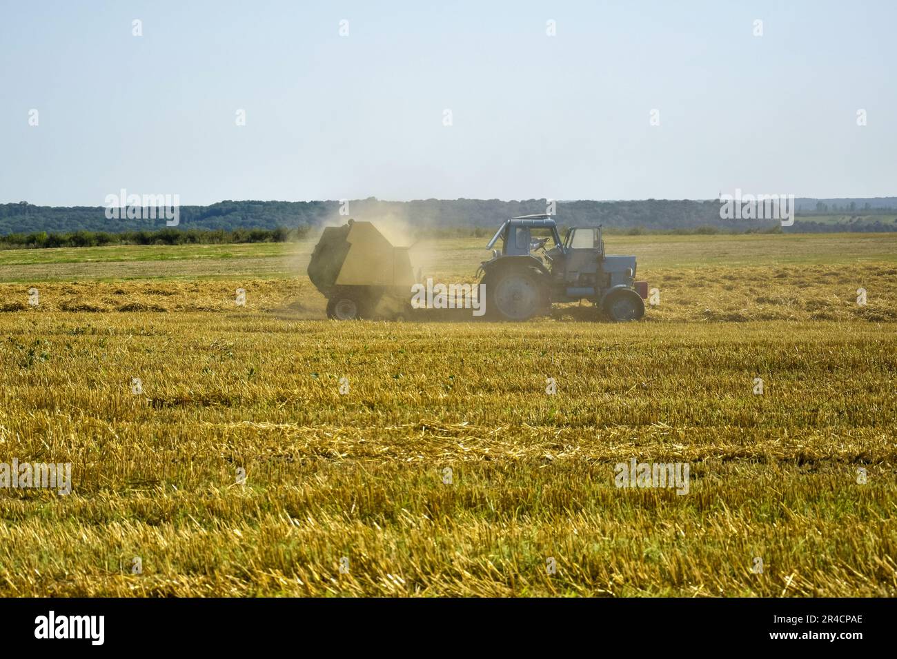 Harvested wheat field with large round bale of straw in summer. Tractor ...