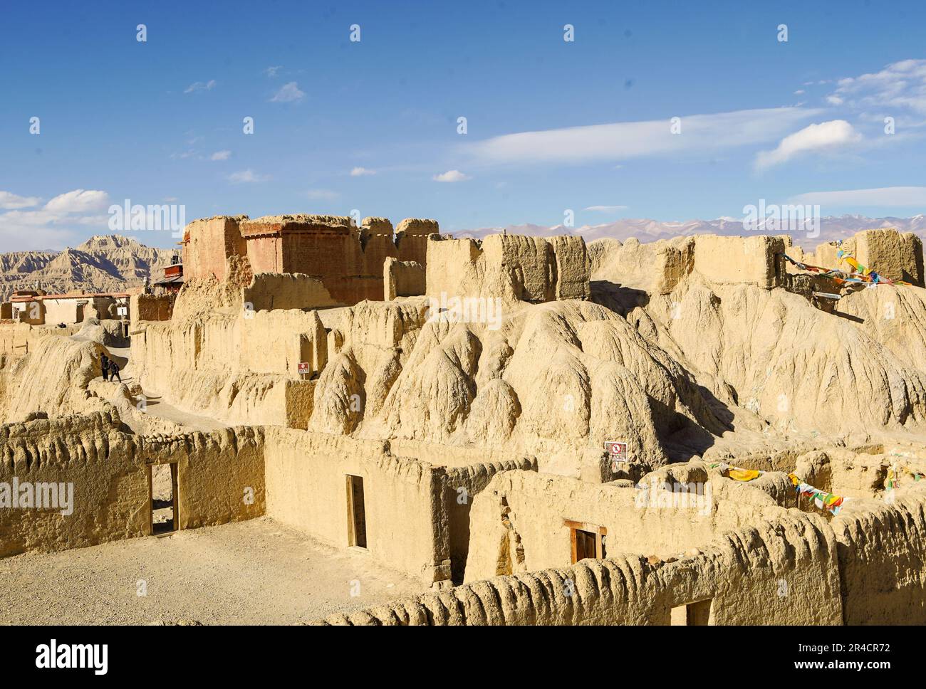 (230527) -- ZANDA, May 27, 2023 (Xinhua) -- This photo taken on May 26 ...