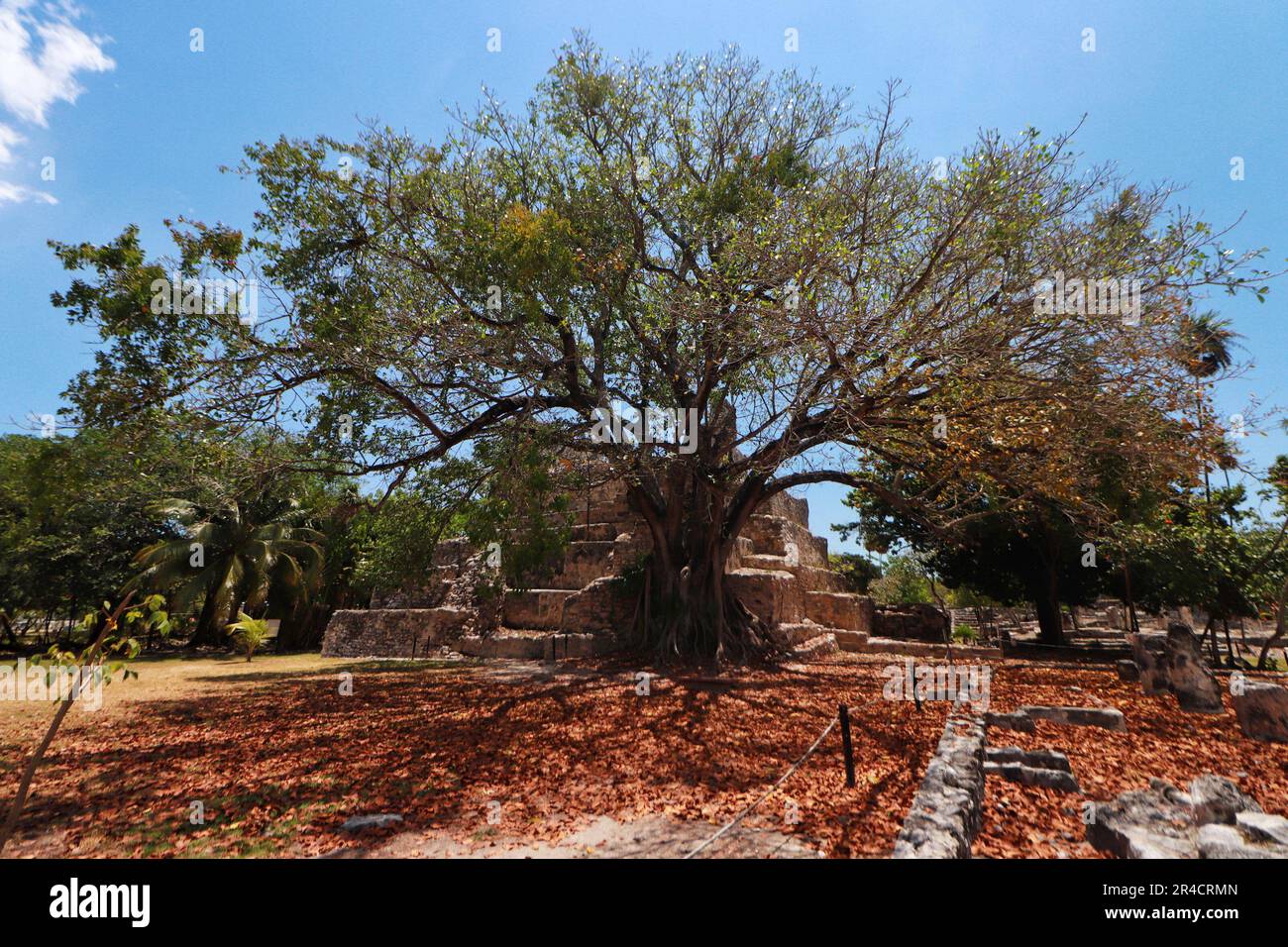 25 de mayo de 2023 en Cancún, Quintana Roo: Zona Arqueológica “El Meco ...