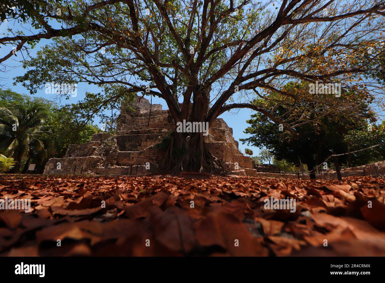 25 de mayo de 2023 en Cancún, Quintana Roo: Zona Arqueológica “El Meco ...