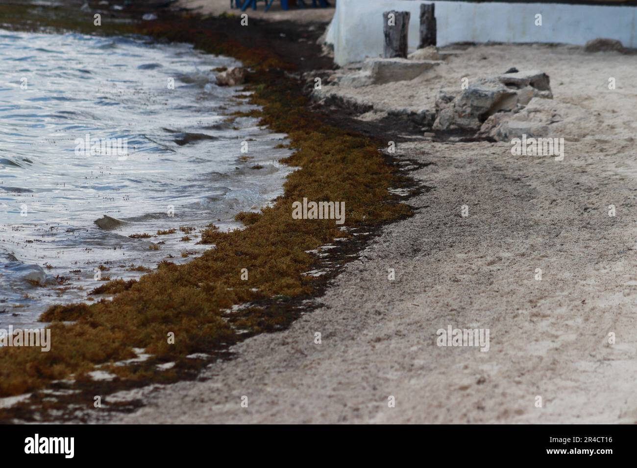 May 25, 2023 in Cancun, Mexico: The beaches of the Mexican Caribbean ...