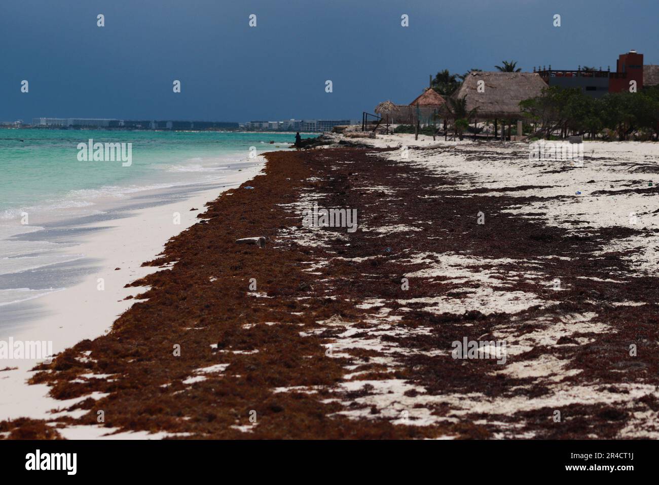 May 25, 2023 in Cancun, Mexico: The beaches of the Mexican Caribbean ...