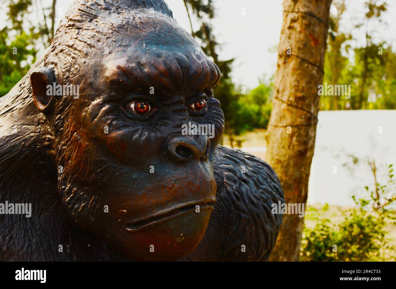 Chimpanzee face hi-res stock photography and images - Alamy