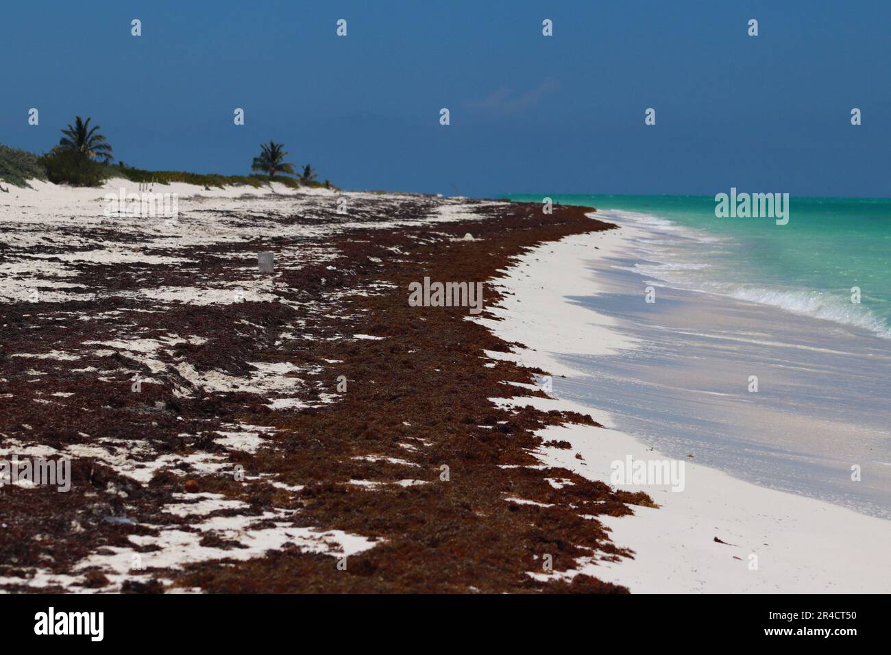 May 25, 2023 in Cancun, Mexico: The beaches of the Mexican Caribbean ...