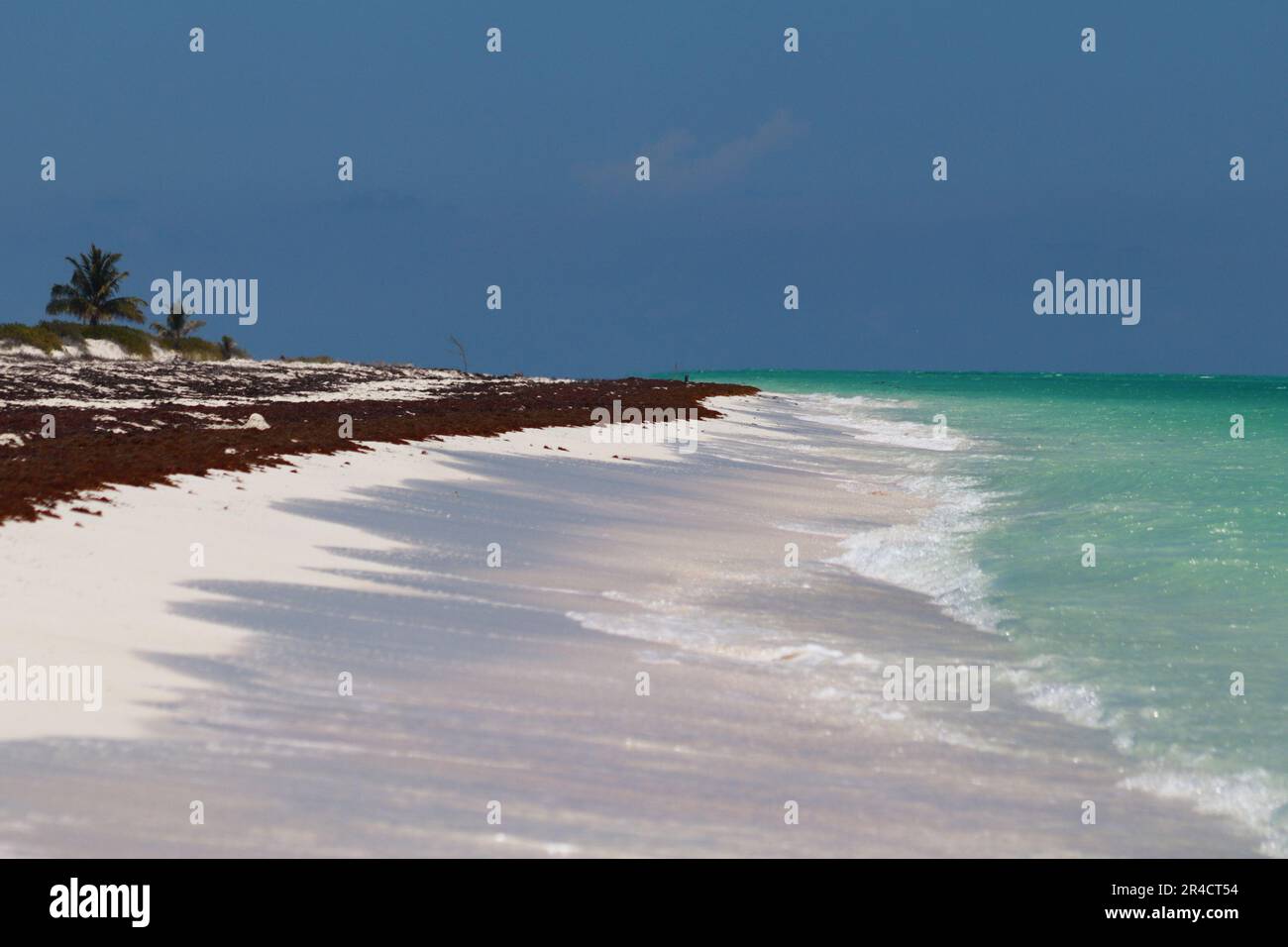 May 25, 2023 in Cancun, Mexico: The beaches of the Mexican Caribbean ...