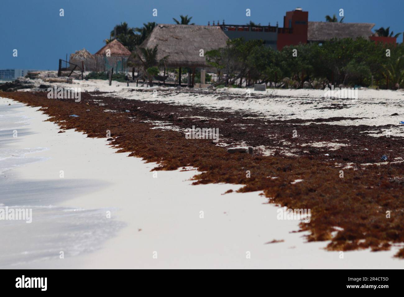 Environmental iusses hi-res stock photography and images - Alamy