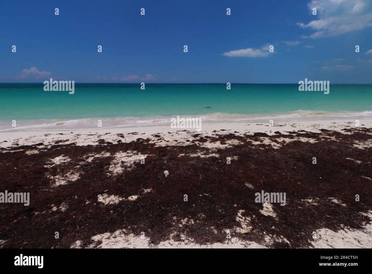 May 25, 2023 in Cancun, Mexico: The beaches of the Mexican Caribbean ...