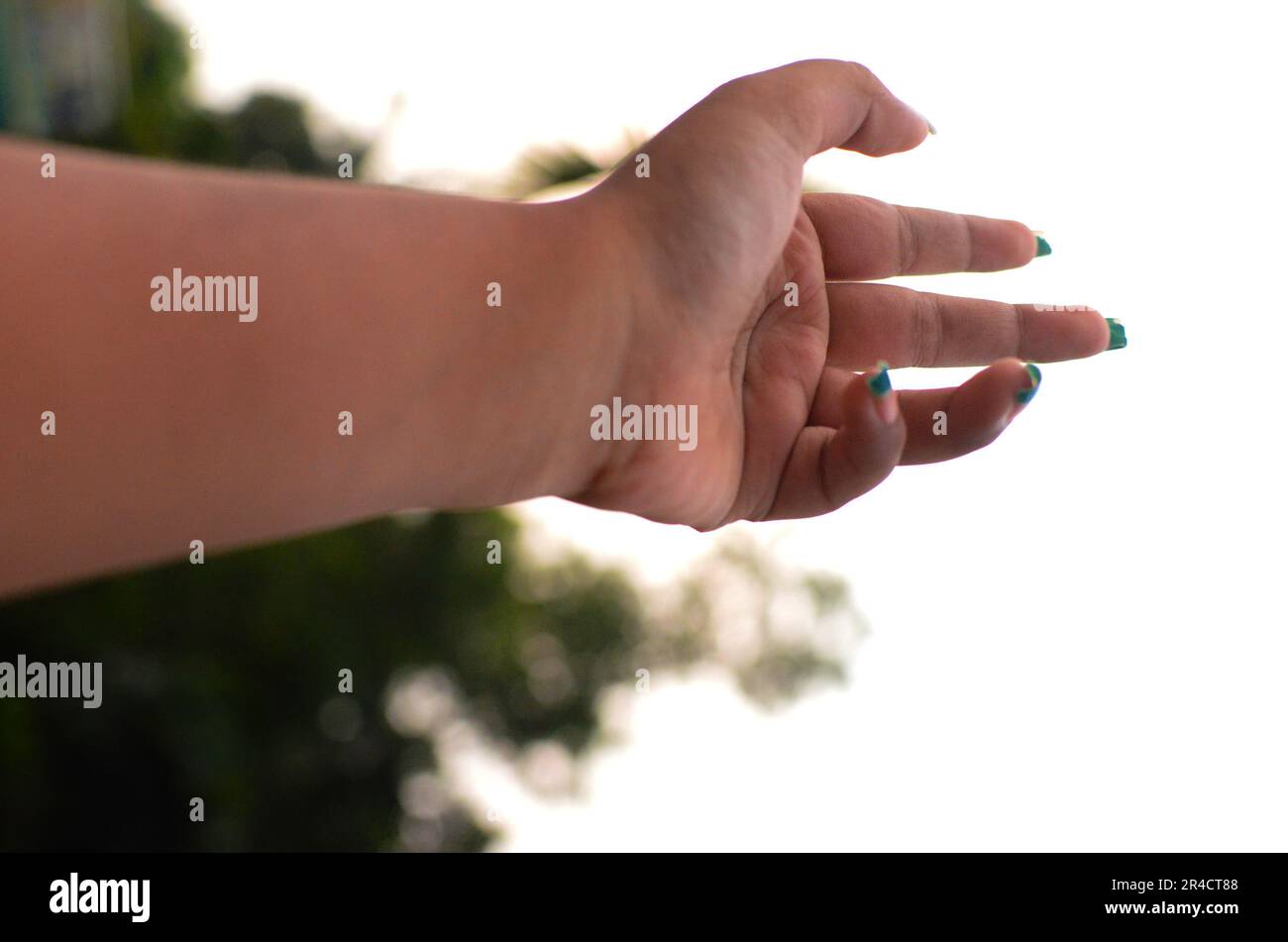 a beautiful hand Stock Photo - Alamy