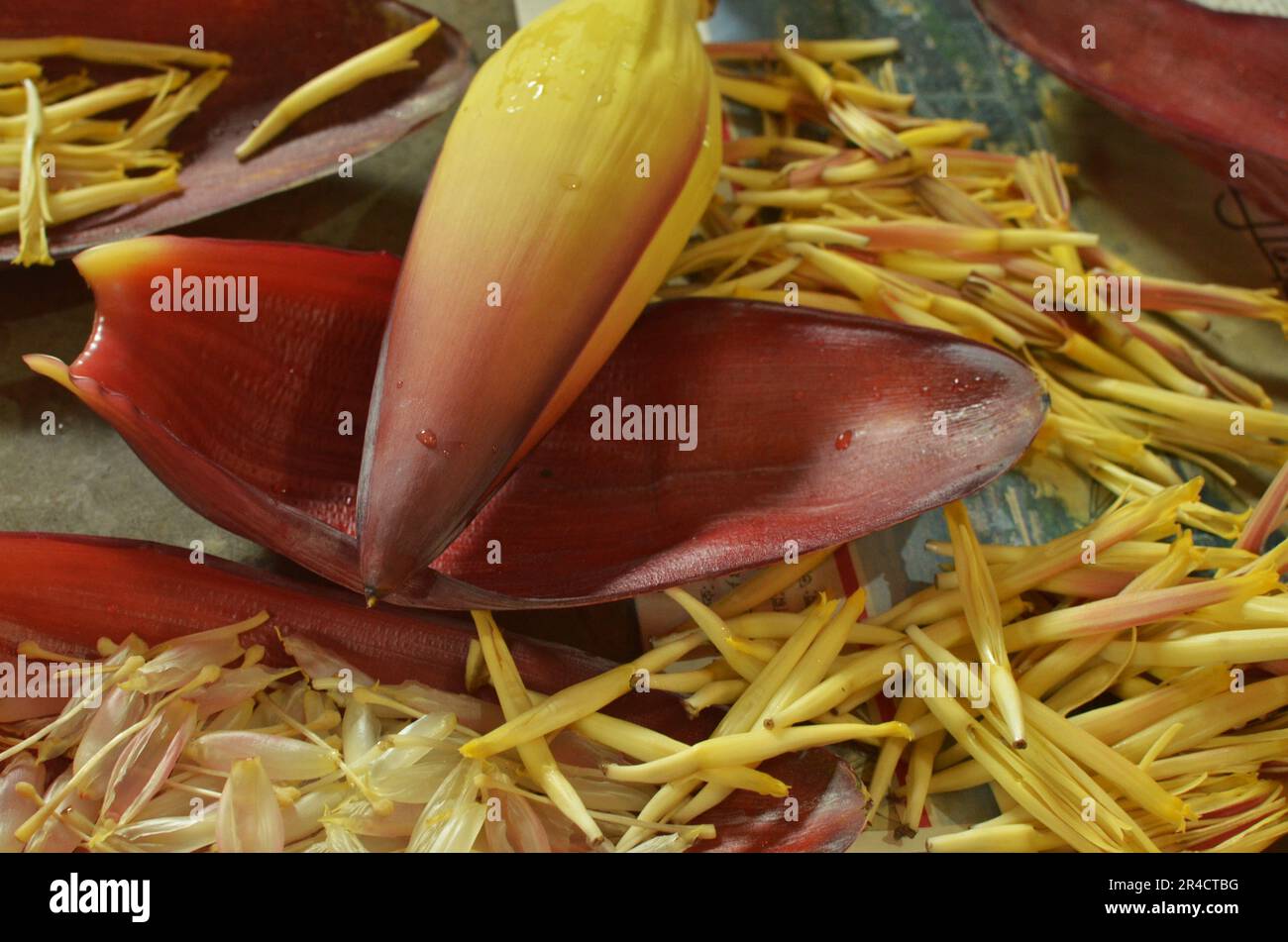 Beautiful banana flower Stock Photo - Alamy