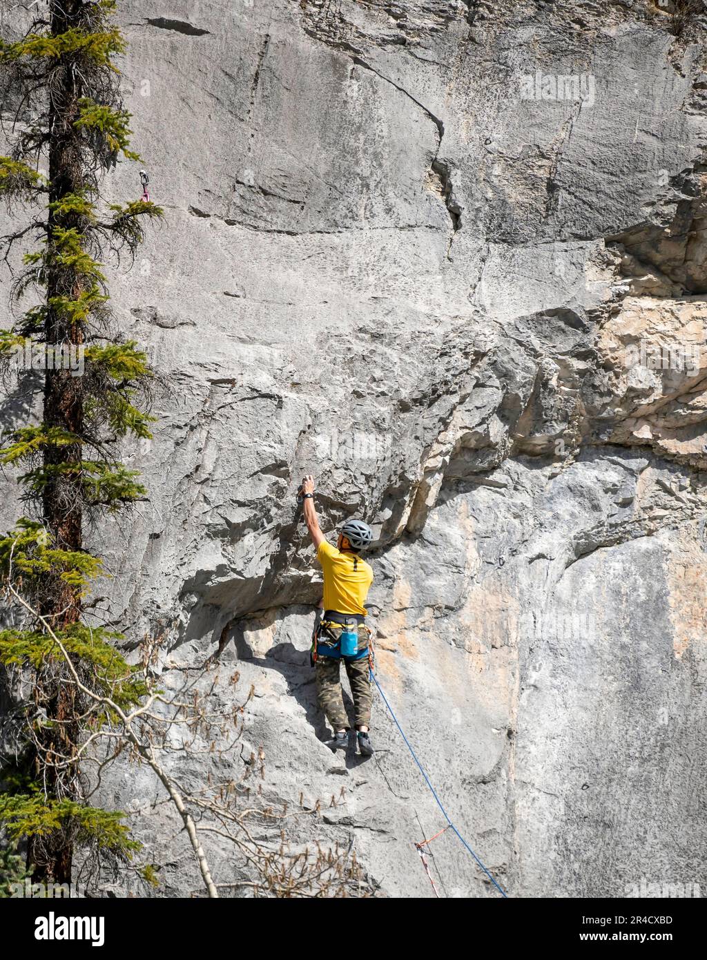 Banff National Park, Alberta, Canada – May 06, 2023: A single male rock ...