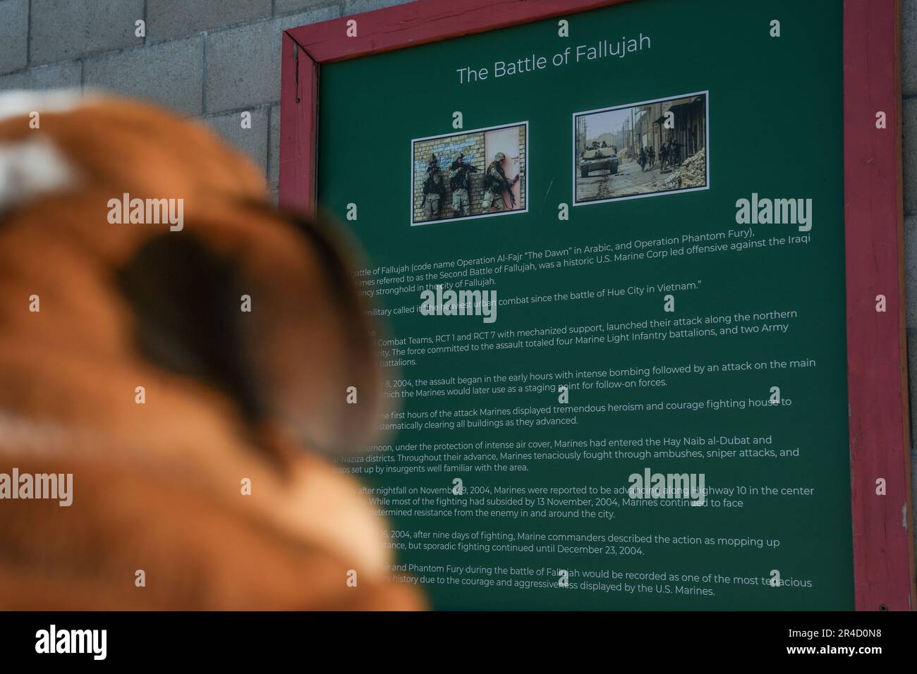 U.S. Marine Corps Rct. Bruno reads about The Battle of Fallujah before ...