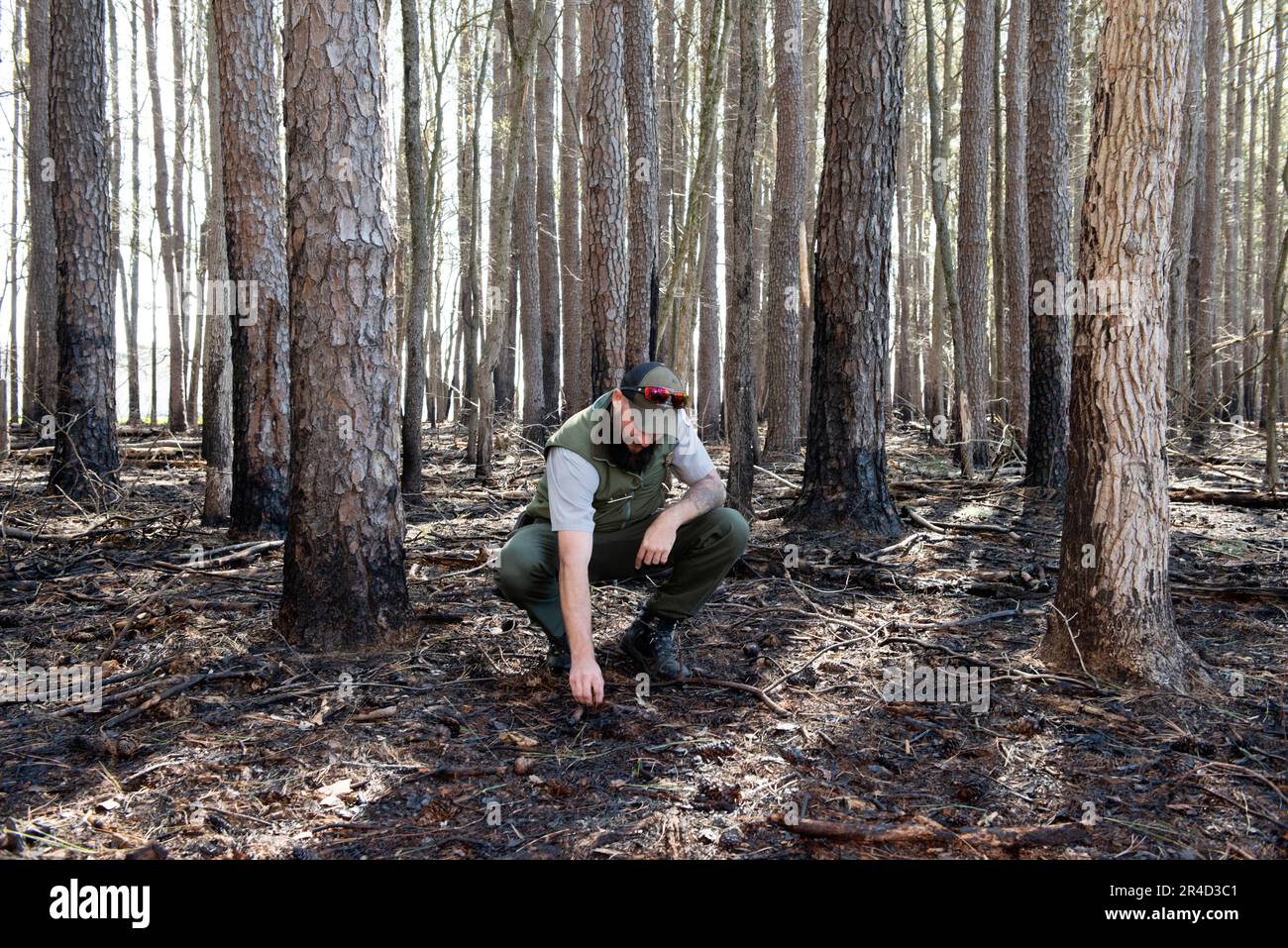 Park Ranger Steve Acuff, biologist and natural resources specialist at ...