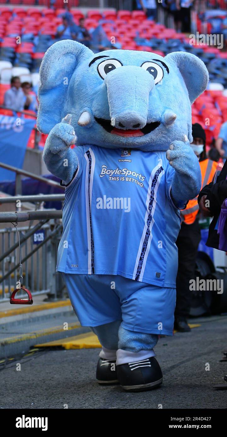 Coventry city mascot sky blue sam hi-res stock photography and images ...