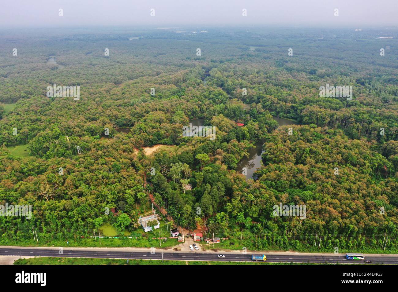 Gazipur, Bangladesh - May 25, 2023: Bhawal National Park is a nature reserve and the national ...