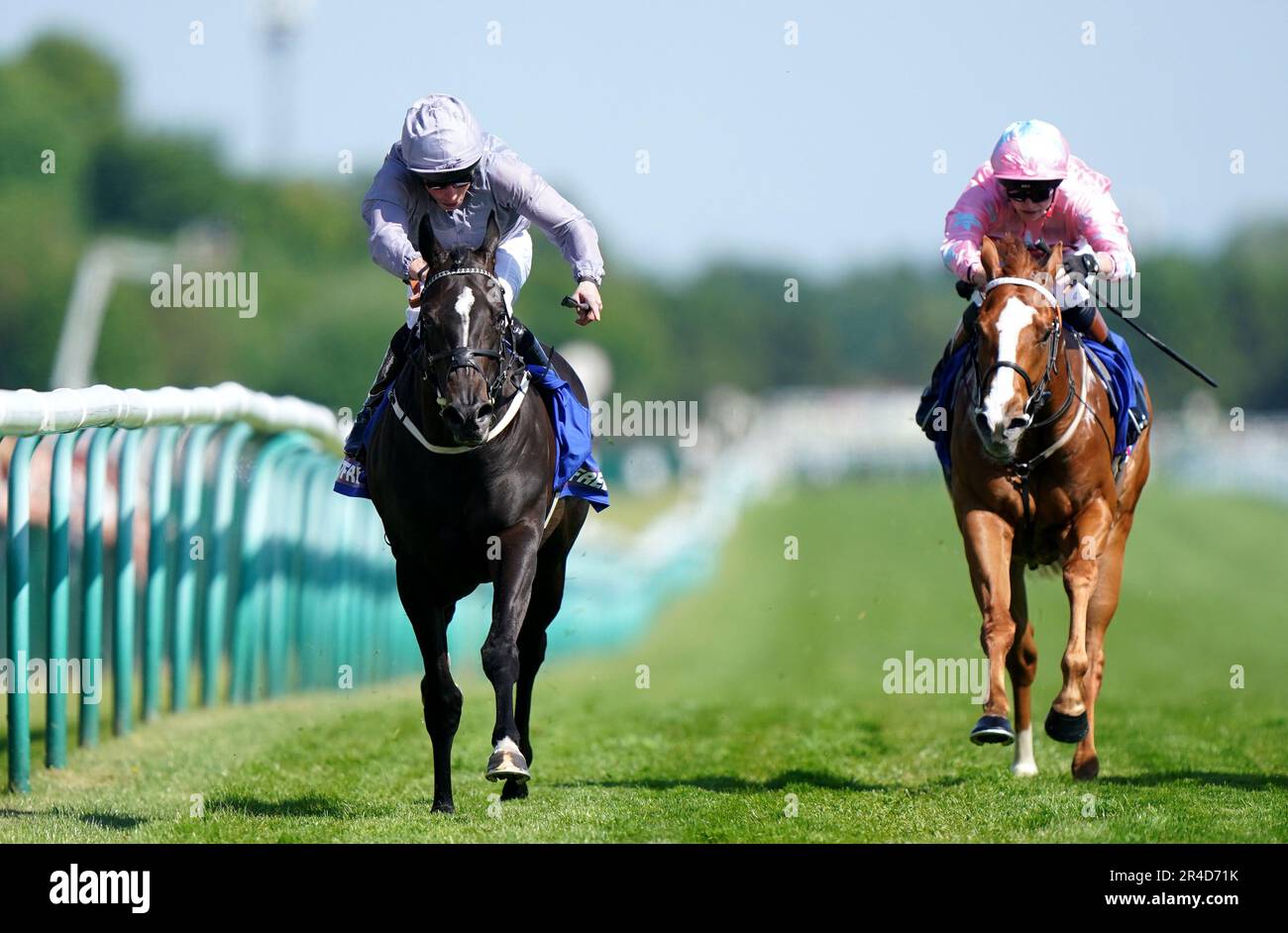 Dramatised horse hi-res stock photography and images - Alamy