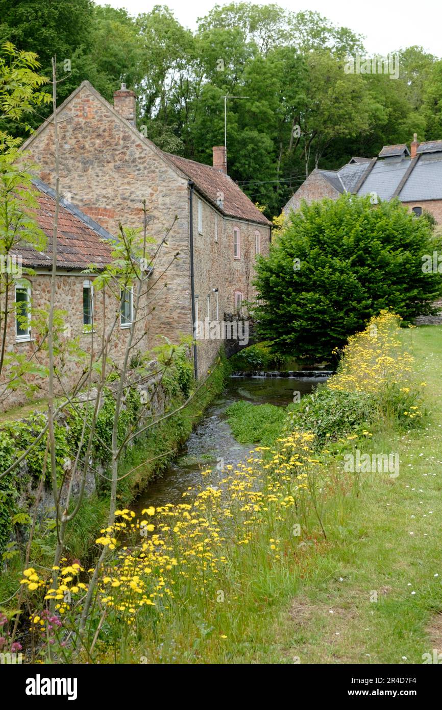 Around Wookey Hole village a tourist attraction in Somerset UK Stock ...