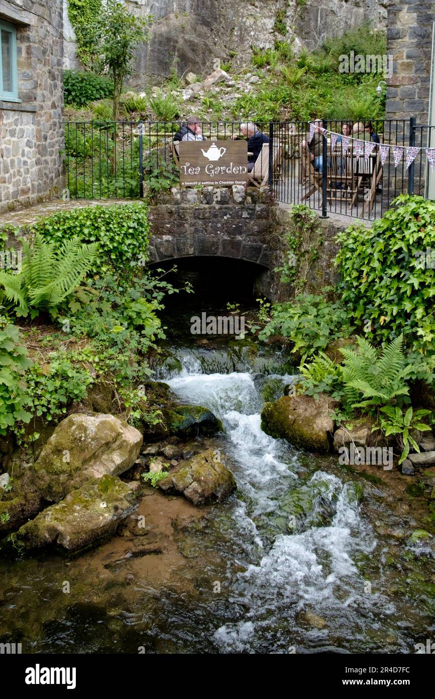 Around Cheddar Gorge a tourist attraction in Somerset UK. Tea Garden at ...