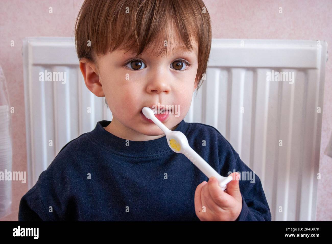Close up of two year old child, mixed race, Japanese-English, boy ...