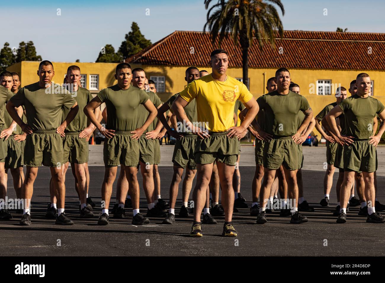 New U S Marines With Echo Company 2nd Recruit Training Battalion