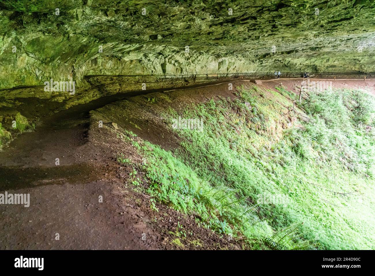 A trail leads un an rocky overhang at Lower North Falls in Silver Falls ...