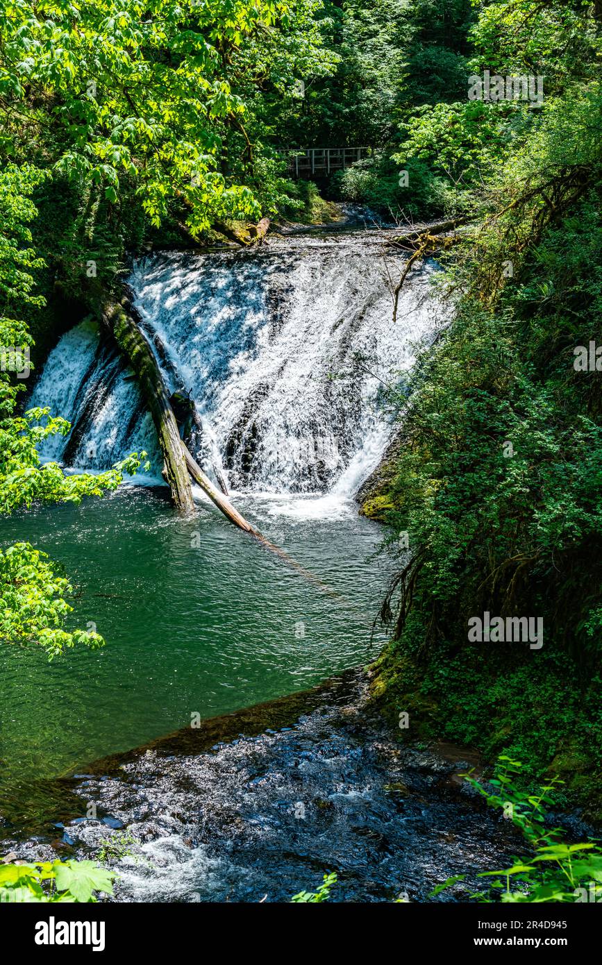 A landscape shot of Drake Falls at Silver Falls State Park in Oregon ...