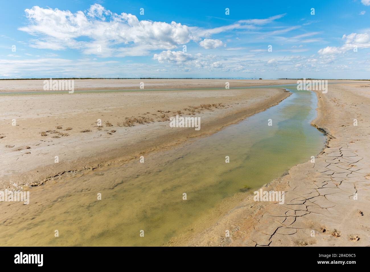 Typical scene camargue hi-res stock photography and images - Alamy