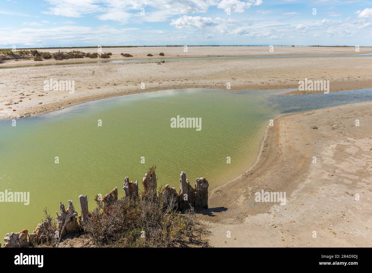 Typical scene camargue hi-res stock photography and images - Alamy