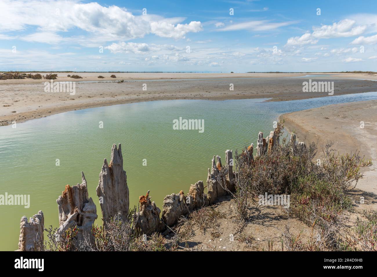 Ramsar wetland hi-res stock photography and images - Alamy