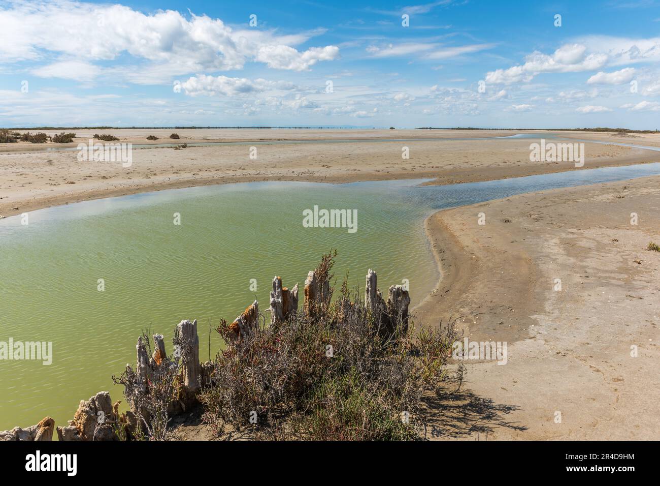 Typical scene camargue hi-res stock photography and images - Alamy