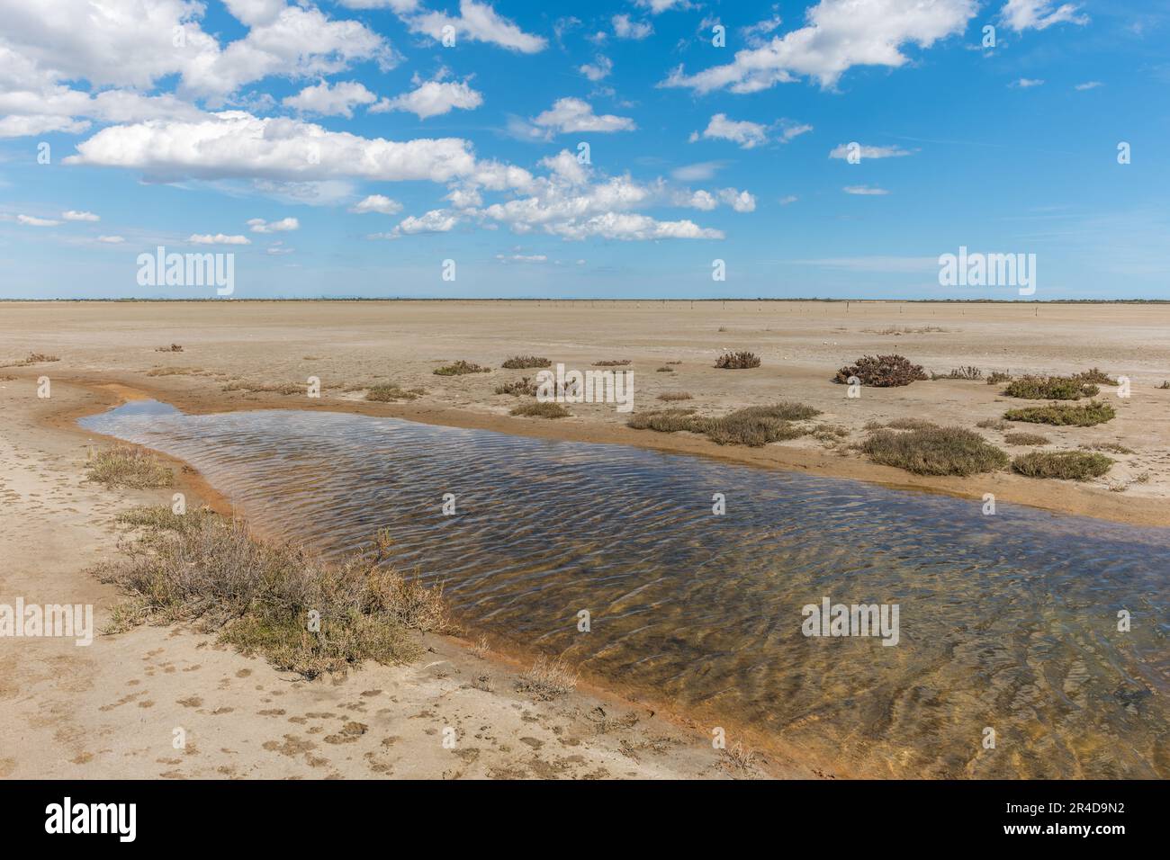 Typical scene camargue hi-res stock photography and images - Alamy