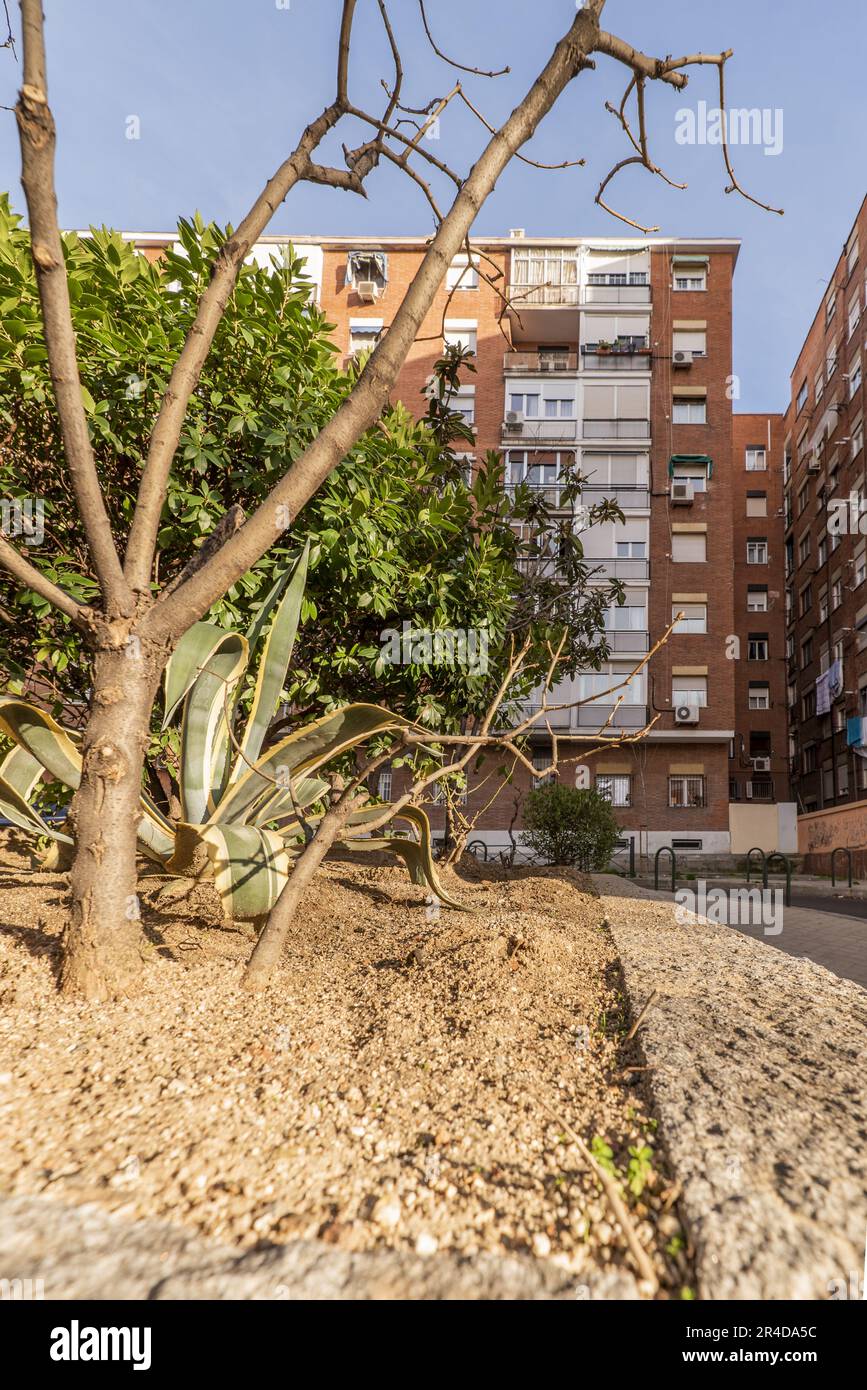 A pot with plants in the access to an urban residential housing portal ...