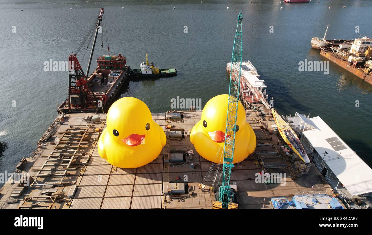 HONG KONG - May 28 2023: two giant Rubber duckie are ready in the dock ...