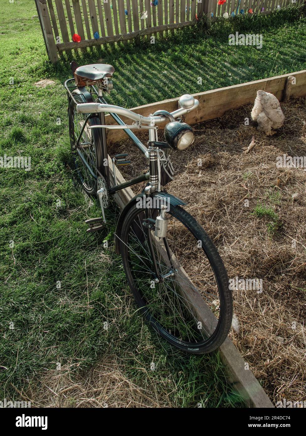 An old retro bike in the backyard, on the green grass, with a chicken ...