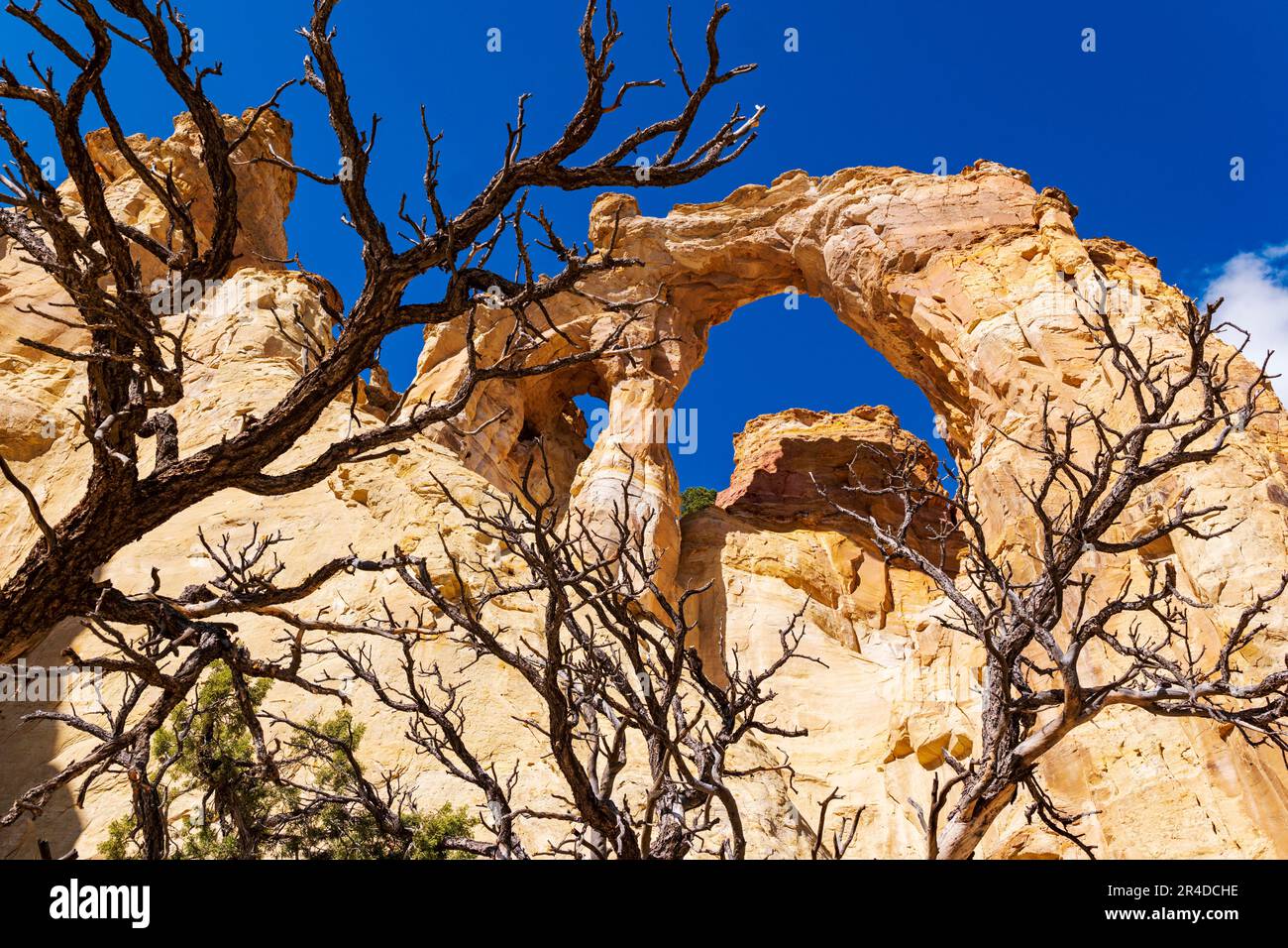 Grosvenor Arch; Grand Staircase - Escalante National Monument; Utah ...