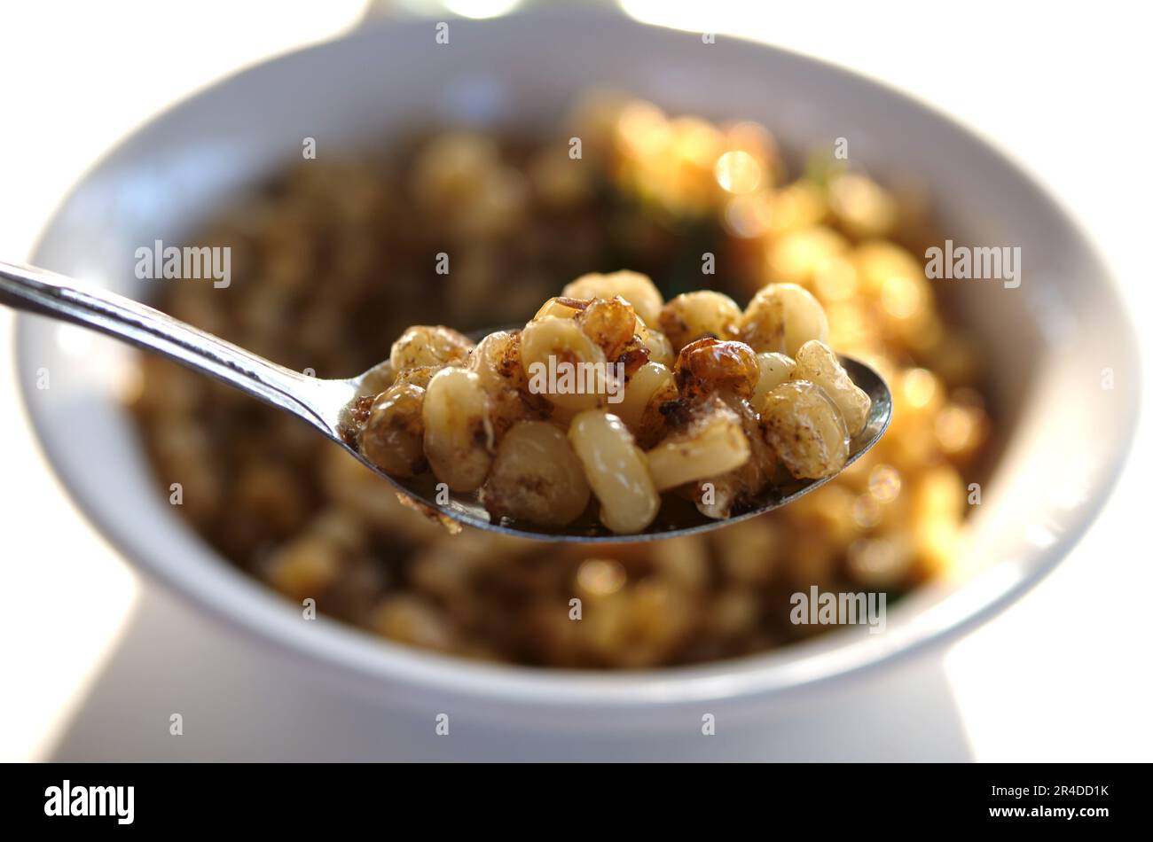 Jagung pulut or Corn pulut is a typical food from East Nusa Tenggara ...