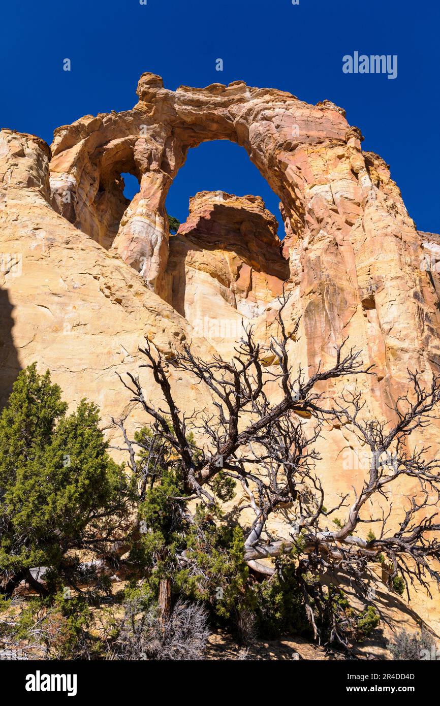 Grosvenor Arch; Grand Staircase - Escalante National Monument; Utah ...