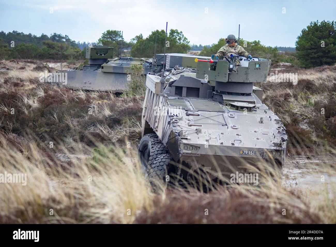 Danish soldiers assigned to the 1st Artillery Battalion conduct live ...