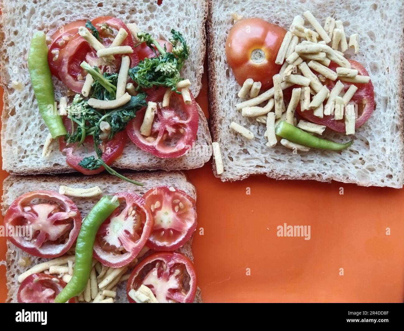 Vegetarian sandwich made up of bread, green chilli, tomatoes and ...