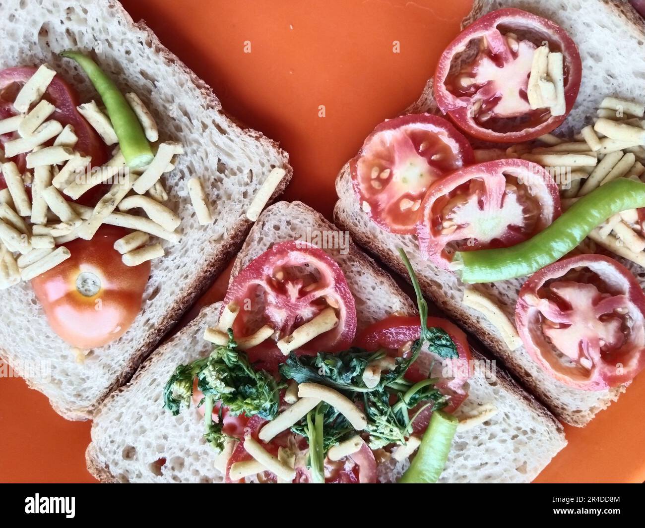 Vegetarian sandwich made up of bread, green chilli, tomatoes and ...