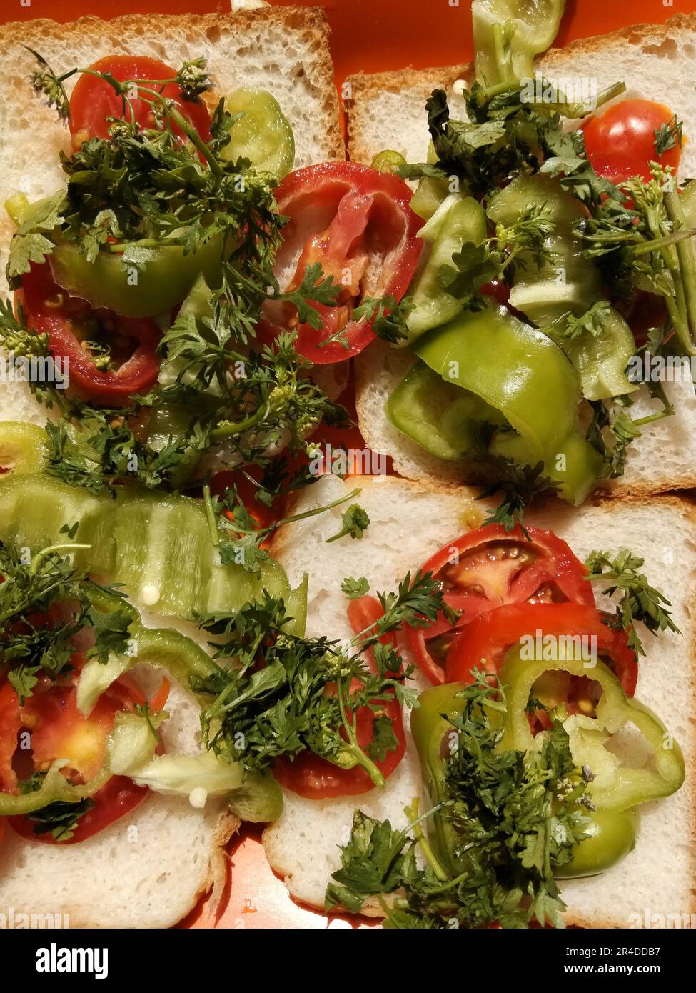 Vegetarian sandwich made up of bread, capsicum, tomatoes and coriander ...