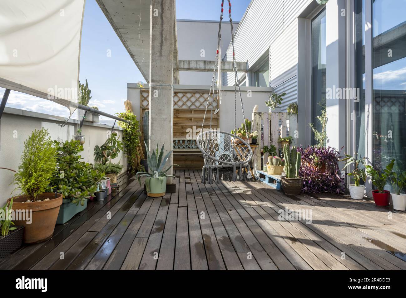 An urban one story penthouse terrace with dark wood plank flooring with ...
