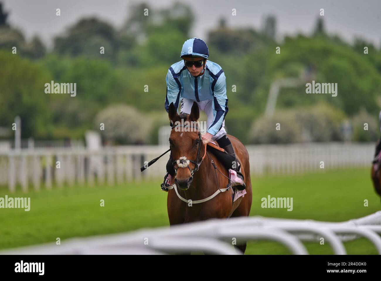 Get Shirty and Jason Watson Stock Photo - Alamy